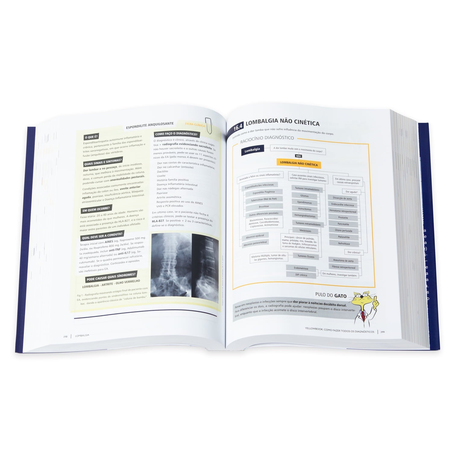 Yellowbook: Como Fazer Todos os Diagnósticos - Livro Técnico Yellowbook ...